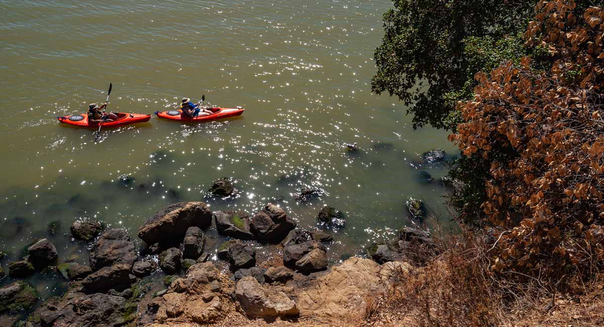10 Best Places to Go Kayaking in the SF Bay Area