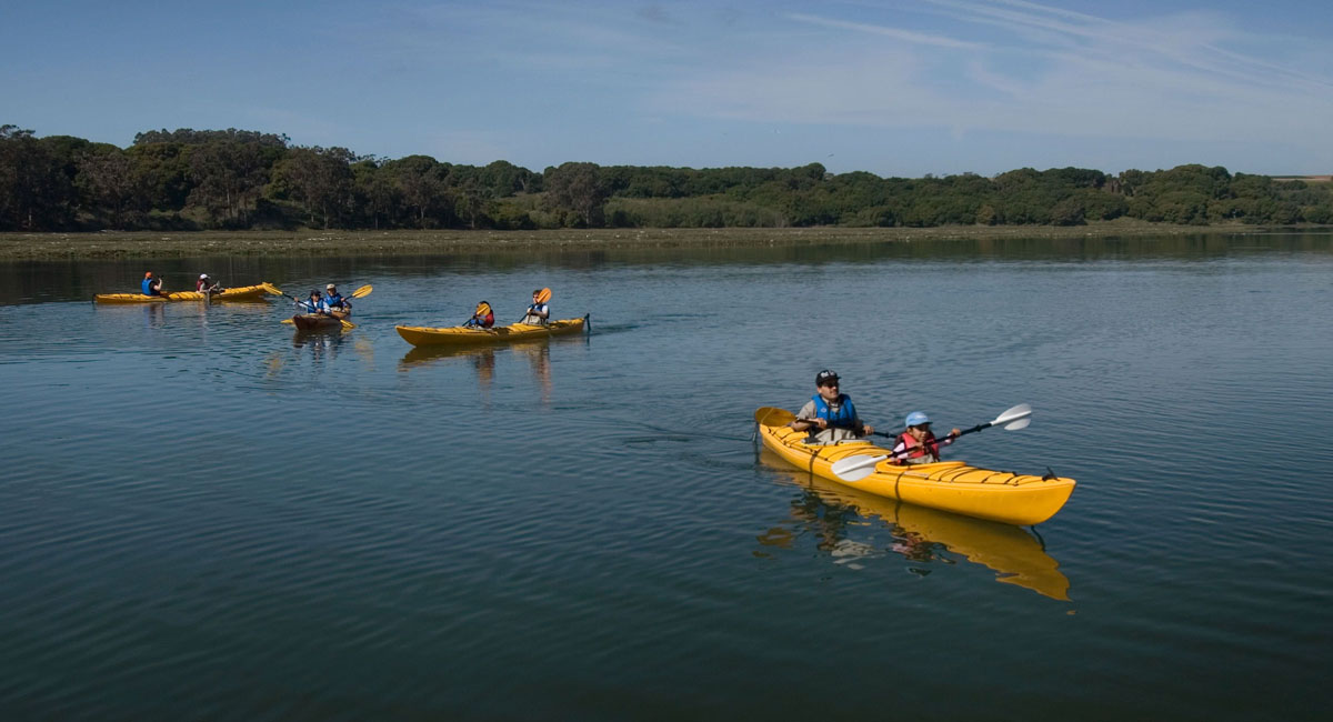 10 Best Places to Go Kayaking in the SF Bay Area