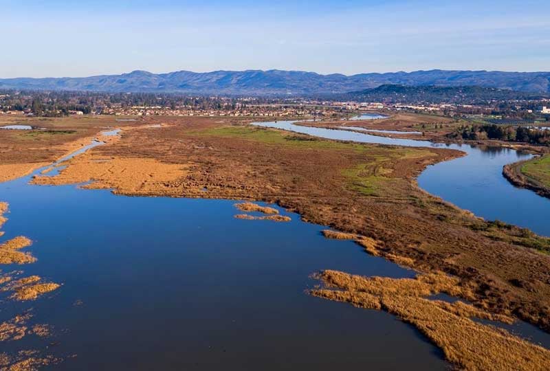 Hourly Kayak & SUP Rentals on the Napa River | Napa Valley Paddle